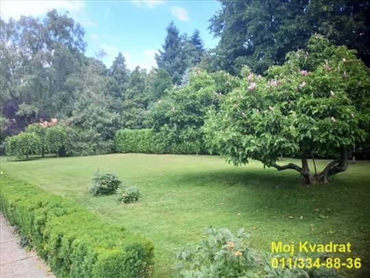 Savski venac, Dedinje - kod Užičke ulice