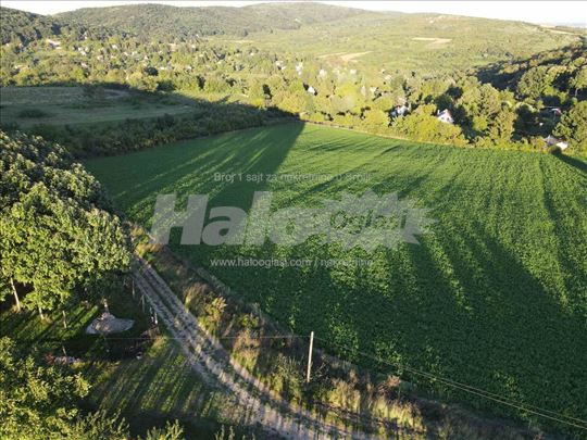 Fruska Gora Lezimir