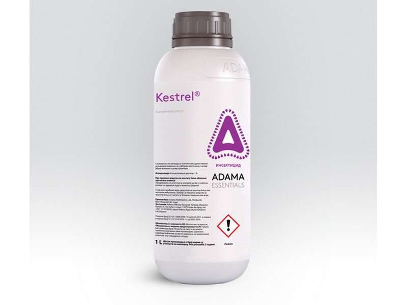 KESTREL 1/1