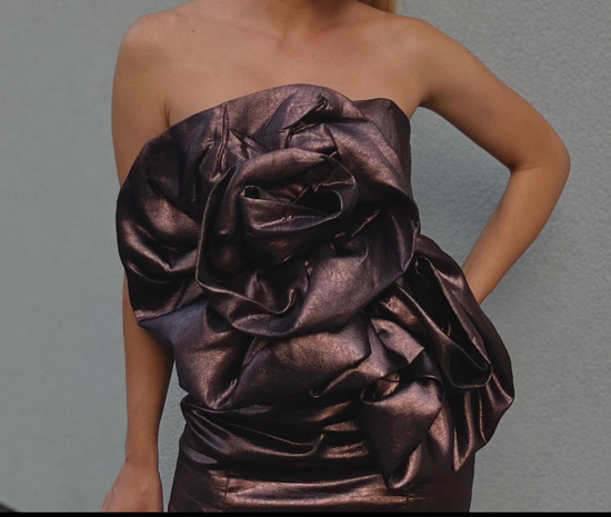 Zara viralna haljina