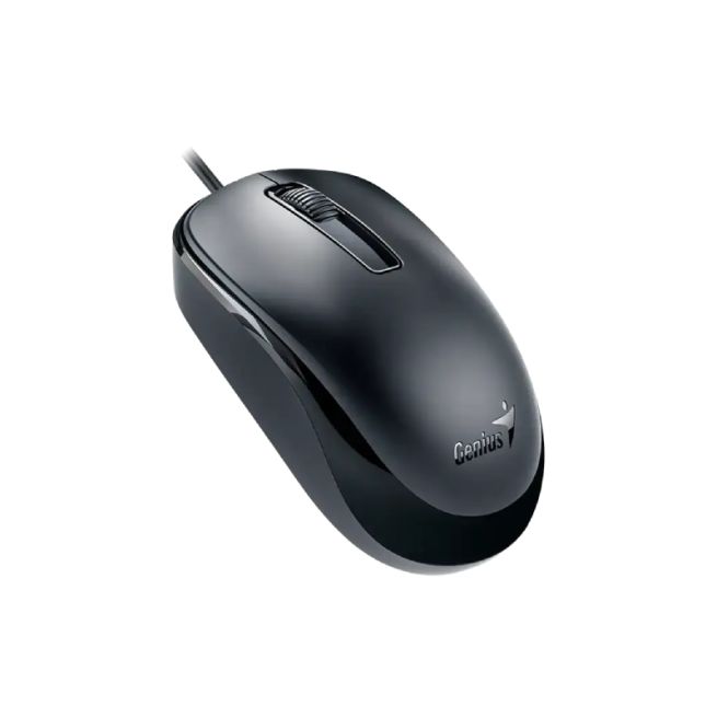 GENIUS DX-125 USB-C Optical crni miš