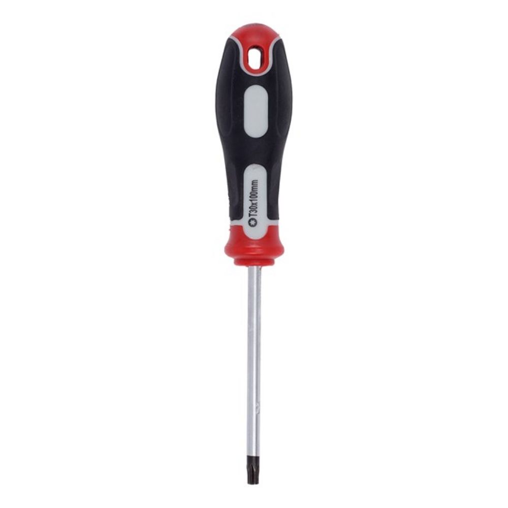 Šrafciger torx t30x100