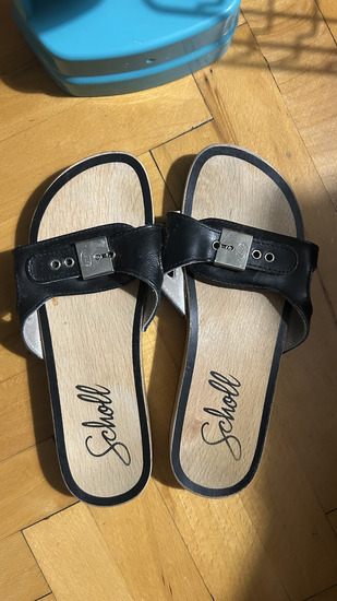 Scholl nanule
