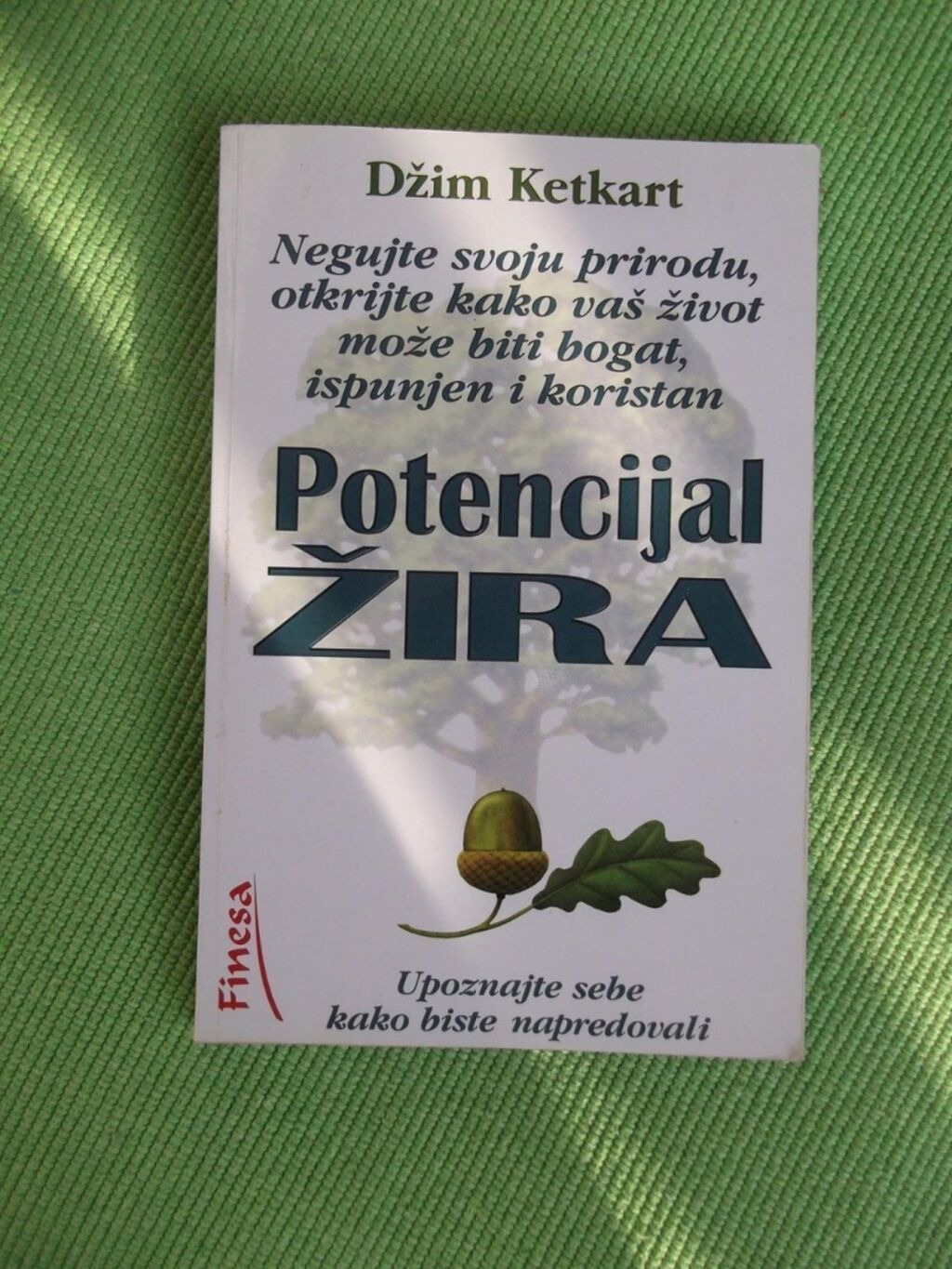 Potencijal žira - Džim Ketkart. Nova! Šaljemo Beksom