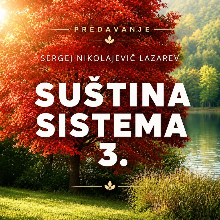 S.N. Lazarev: Suština sistema 3. (predavanje mp4)