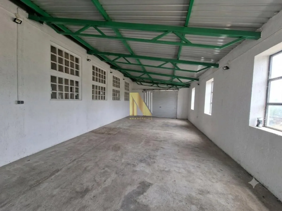Izdavanje, poslovni prostor, 100m², Bulevar Evrope, Novi Sad Sve Podlokacije