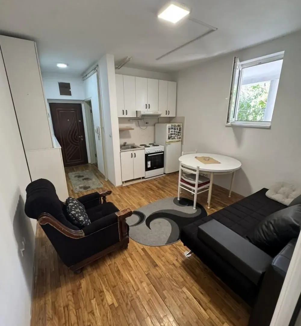 Izdavanje, jednosoban stan, 35m², Južni Bulevar, Vračar Sve Podlokacije