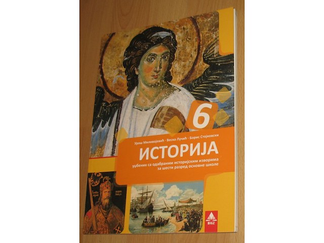 6. ISTORIJA 6 BIGZ