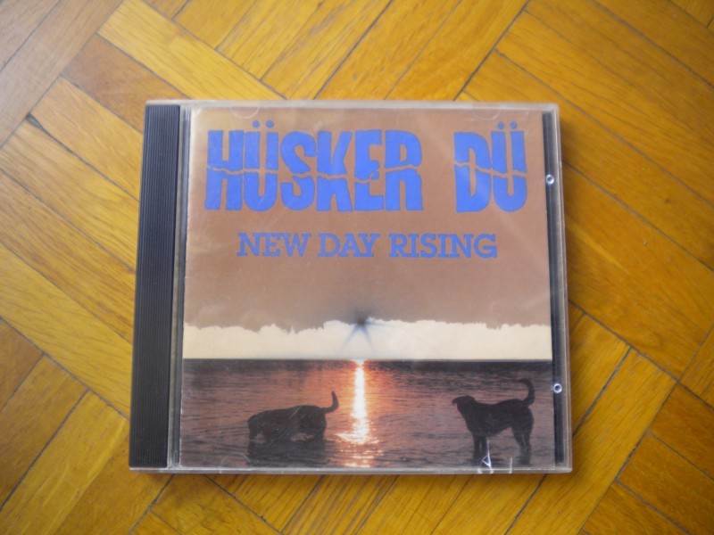 HUSKER DU, New Day Rising, CD