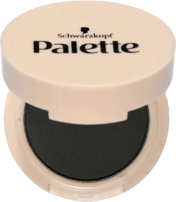 Farba za kosu PALETTE DE LUX Palette root retouch crna