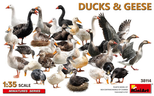 MiniArt 38114 Ducks & Geese (33 Figures)