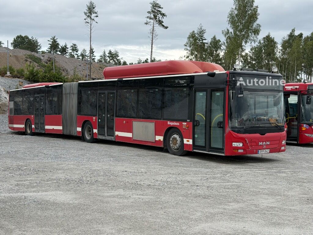 MAN Lion's City GL CNG (30 BUSES FOR SALE) zglobni autobus