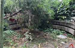 Stan,NOVI SAD,LIMAN 3,kv: 38, € 103000, ID: 1032507