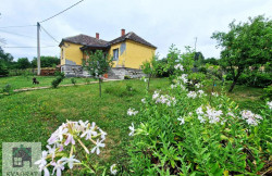 Seosko imanje sa zasadom lešnika, 60m² + 80m², 6.8ha – Ub, Kršna Glava - 77.000€