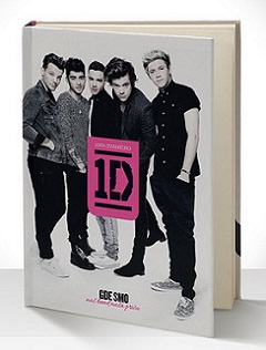 1D, GDE SMO – NAŠ BEND, NAŠA PRIČA