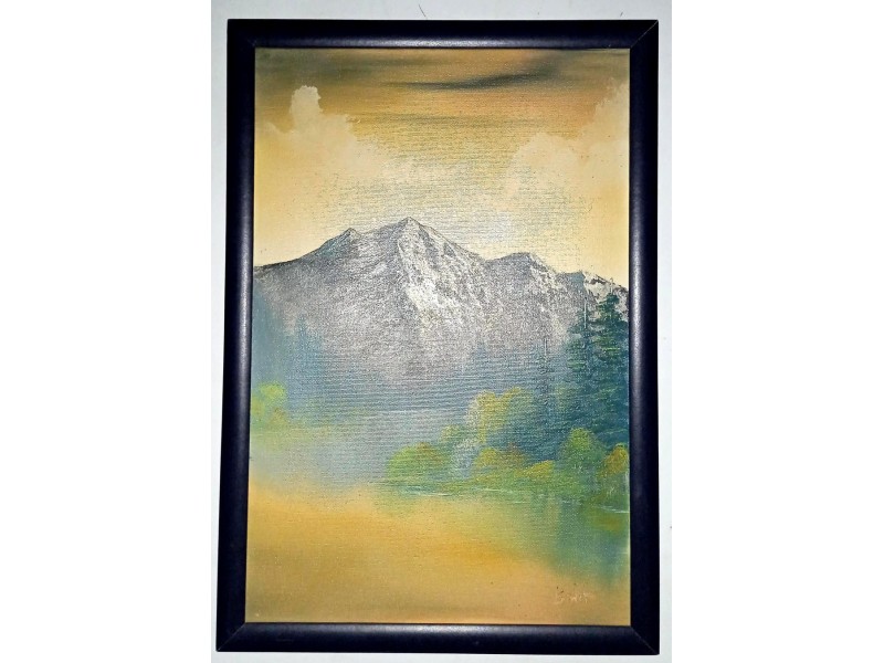 SLIKA - ULJE NA PLATNU SIGNIRANA 49x34cm
