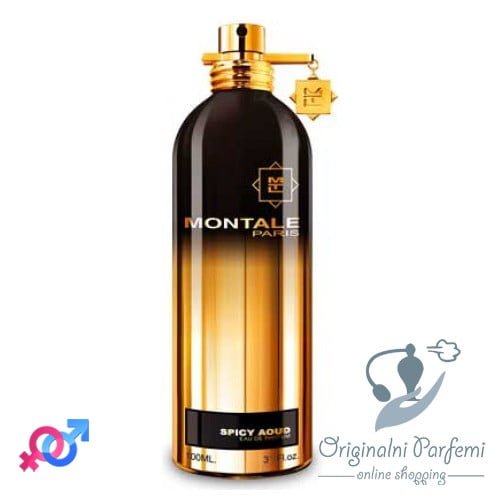 Montale Spicy Aoud 100ml EDP