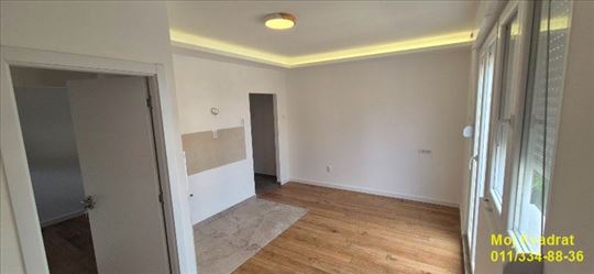 Palilula, Višnjička banja - Višnjička