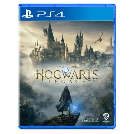 Soni Game Hogvarts Legaci /PS4, šareno