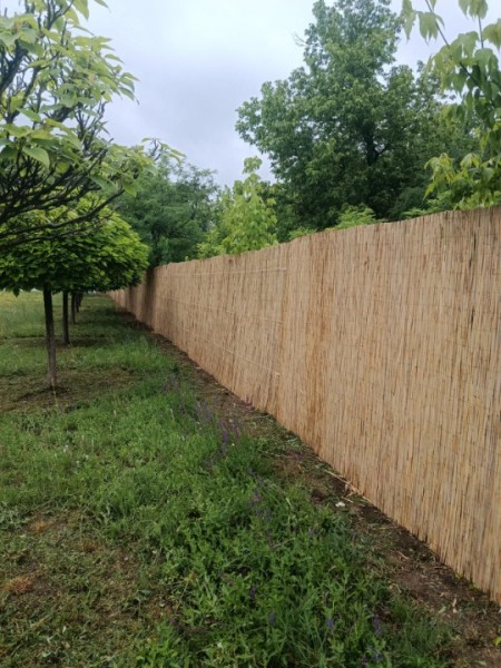 Trska za ograde, dvorišta, letnjikovce