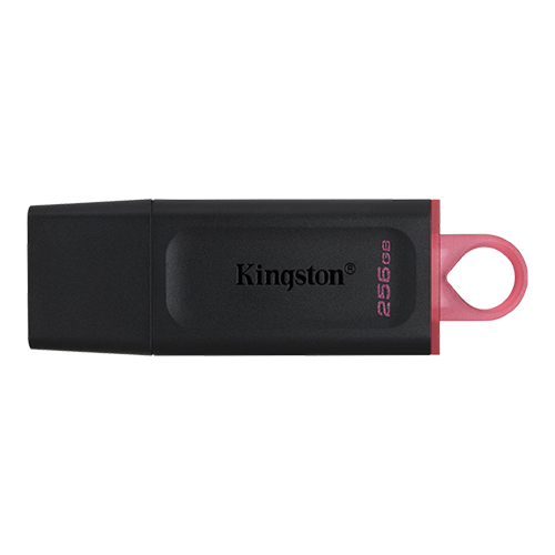 FlashDrive 256GB Kingston DTX/256GB USB3.2
