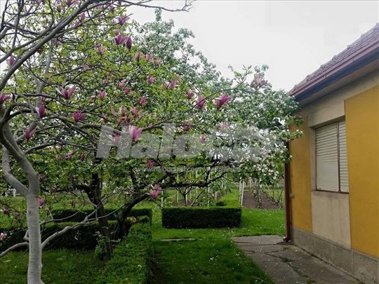 Ečka – Porodična kuća 140 m² na placu od 14 ari