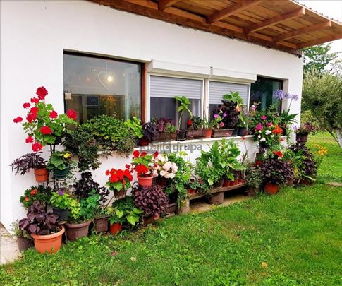 Kuća sa voćnjakom na Bavaništanskom putu