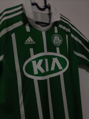Dres Palmeiras