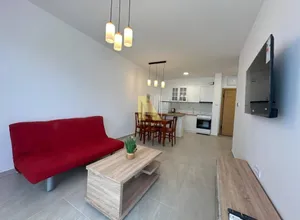 Izdavanje Stan - Novi Sad