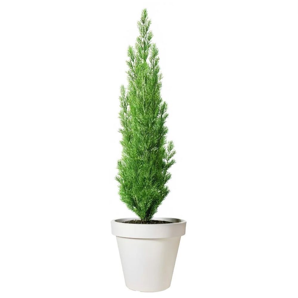 Saksija okrugla bela 50cm koopman