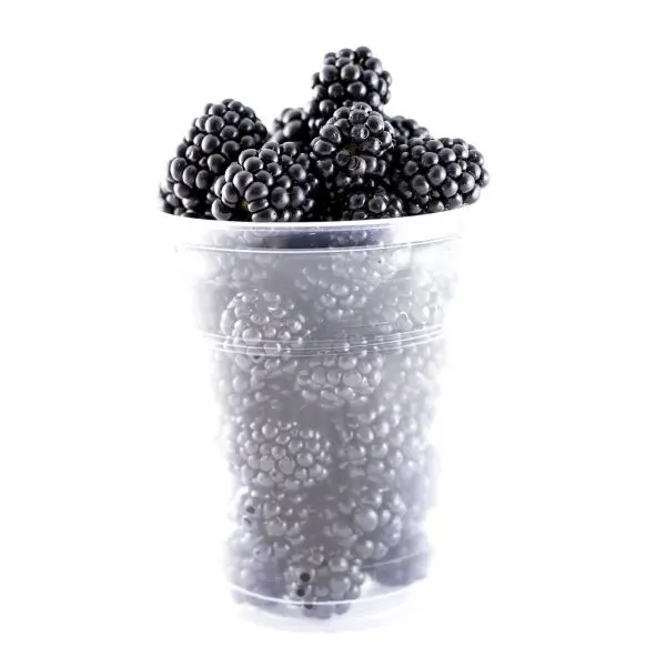 KUPINE 200G