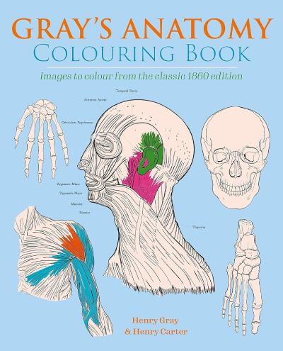 Gray's Anatomy Colouring Book