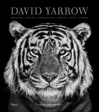 David Yarrow Photography: Americas, Africa, Antarctica, Arctic, Asia, Europe
