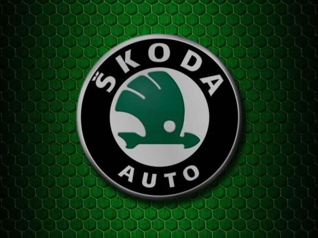 BRANIK PREDNJI ZA ŠKODA ROOMSTER OD 2010. DO 2014. GOD. | Polovni