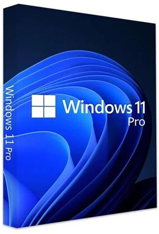 Microsoft GGK Win Pro 11 64bit Eng Intl 1pk DVD, 4YR-00316