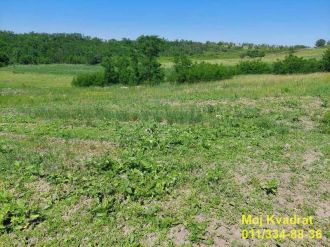 10.290m² 12.000€
Šid, Donja Čajka