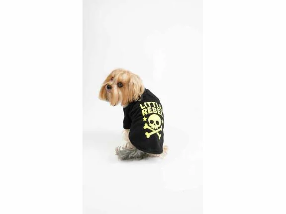 PAWS & WHISKERS Modni dodatak za pse Dog's T-Shirt Little Rebel 4