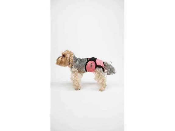 PAWS & WHISKERS Pelene za pse Dog's Panties Kulot M