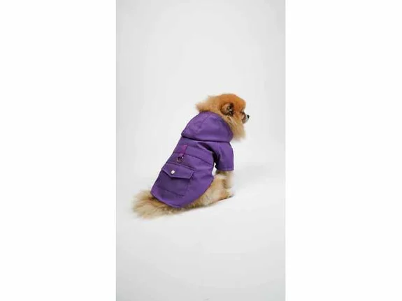 Odeća za mačke Pawjoy M