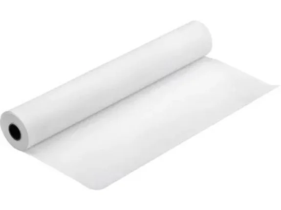 Epson Papir za kasu C13S045274 841mm x 50m