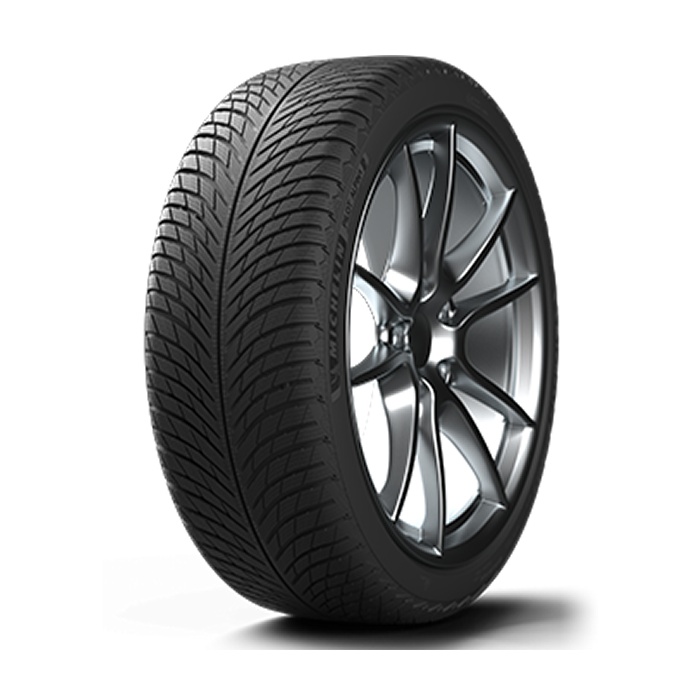 295/30R21 PILOT ALPIN 5 102V XL NA0
