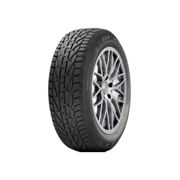 225/45R18 WINTER 95V XL