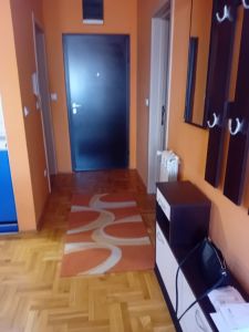 Izdaje se namešten dvosoban stan