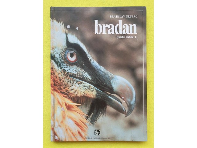 Bratislav Grubač - Bradan
