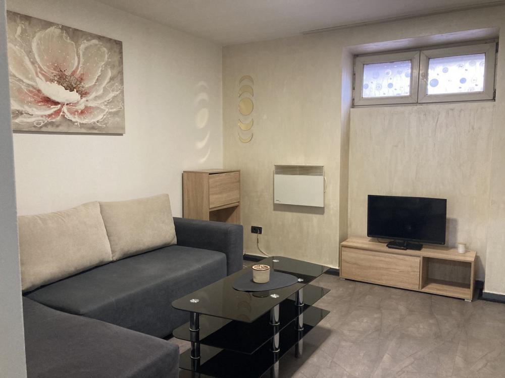 Svetogorska, Jednoiposoban stan za izdavanje, 50m2, 450€