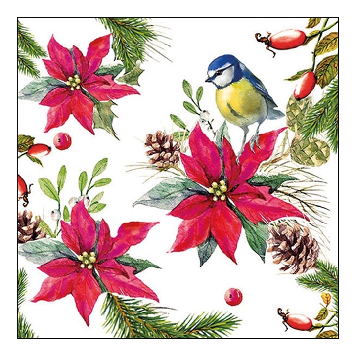 Eko salveta za dekupaž Bird on Poinsettia - 1 kom