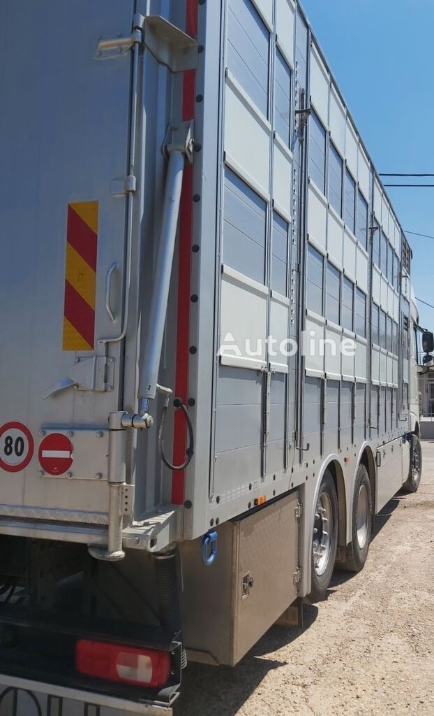 DAF XF kamion za prevoz stoke