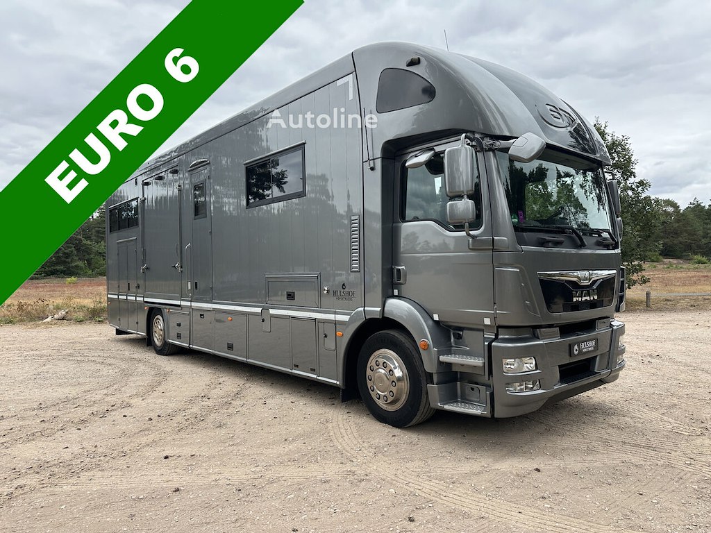 MAN TGM 19T STX 6-paards kamion za prevoz konja