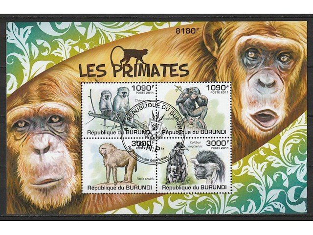 Burundi - 2011 - Primates, majmuni