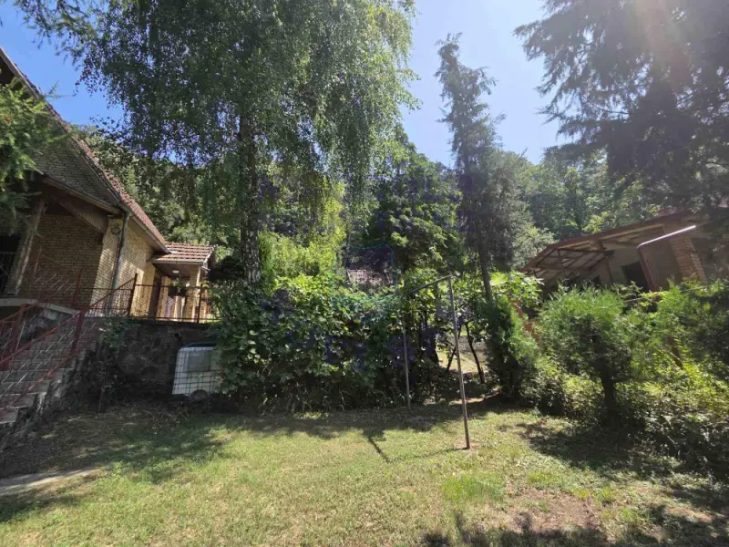 Stari Rakovac, Rakovac